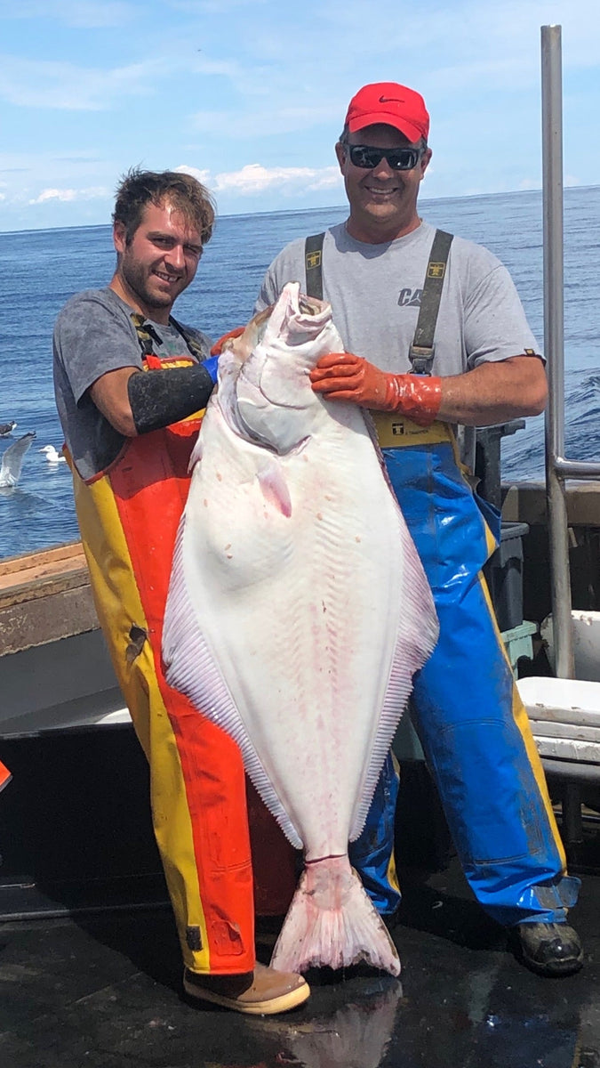 The Daily Haul | Fresh Seafood in Londonderry, NH