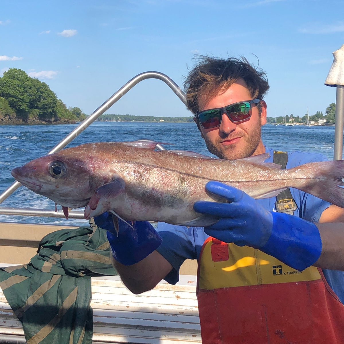 The Daily Haul | Fresh Seafood in Derry, NH